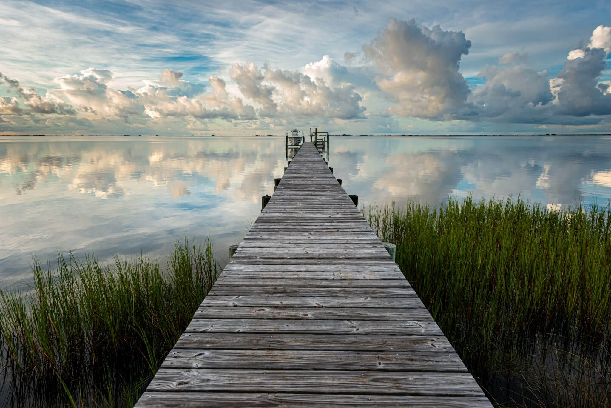 Wildlife & Landscape Photography of the Emerald Coast by Frank Abbott