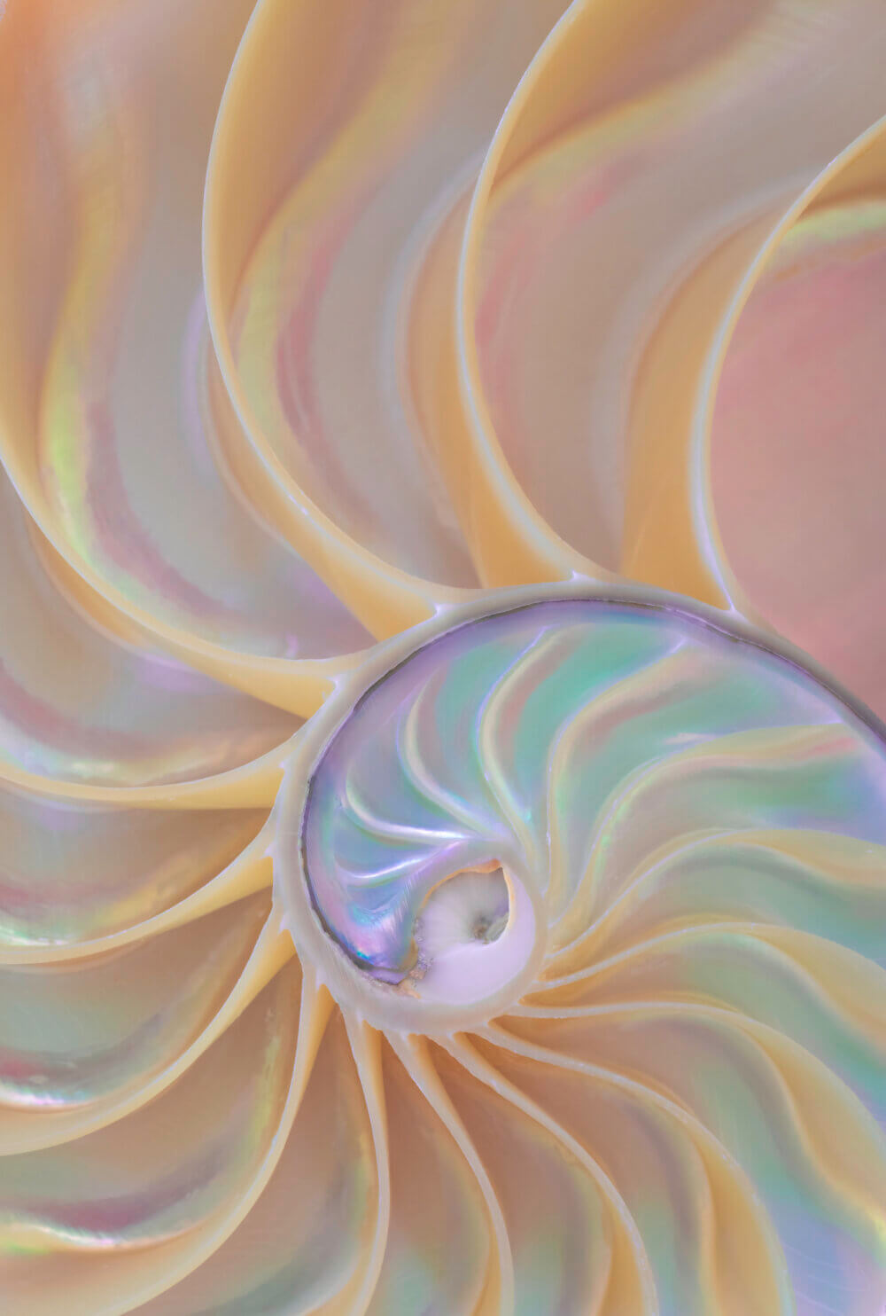 Sacred Geometry - Frank Abbott Photography