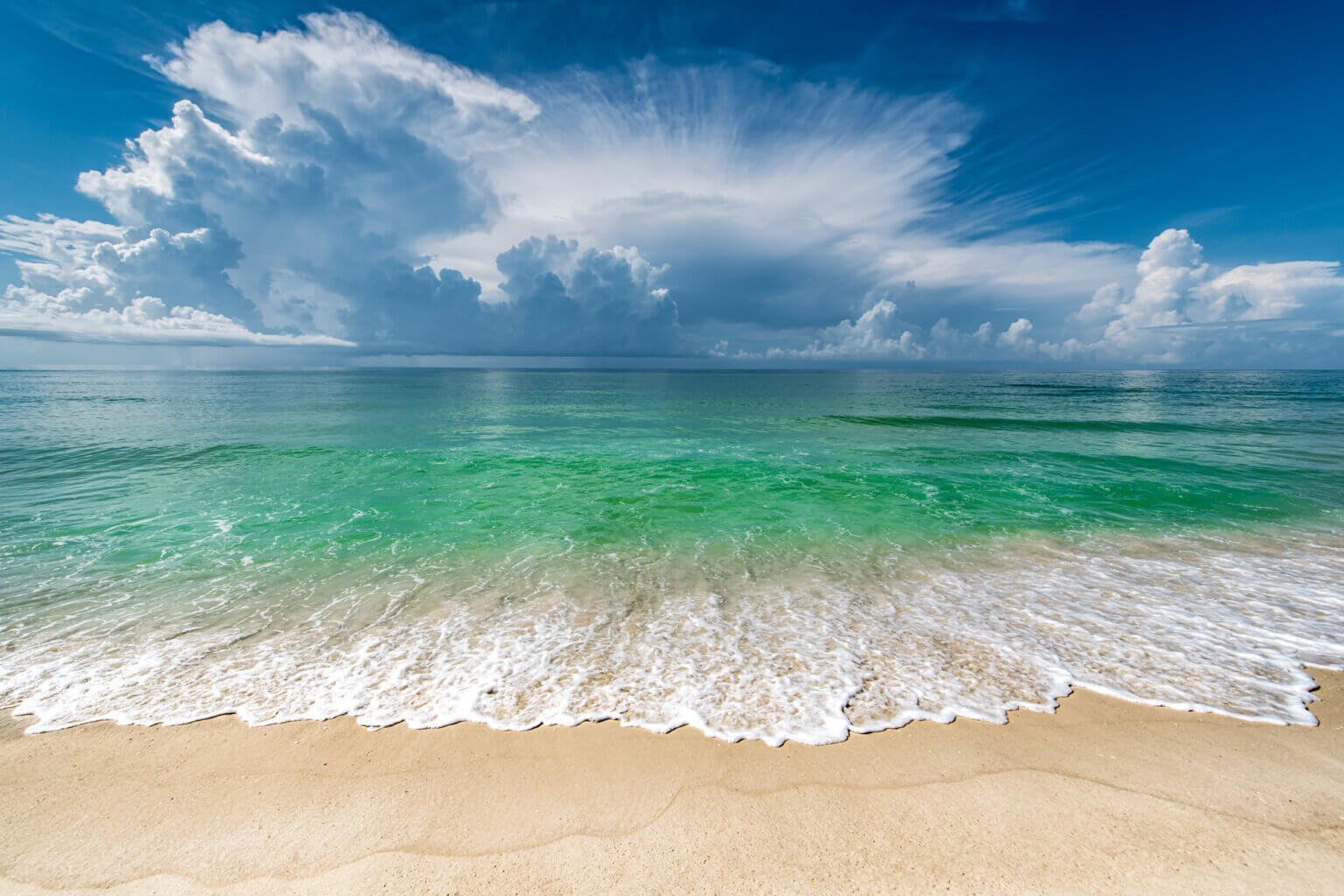 Wildlife & Landscape Photography of the Emerald Coast by Frank Abbott